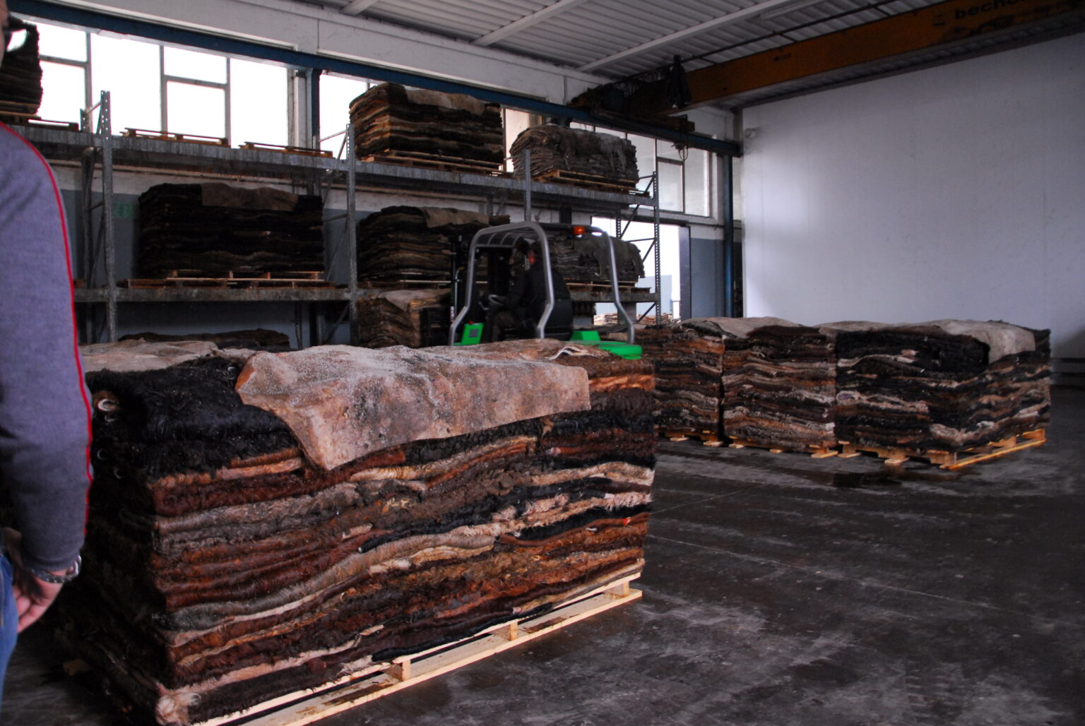 Carriage of hides and skins in container - Eceplast